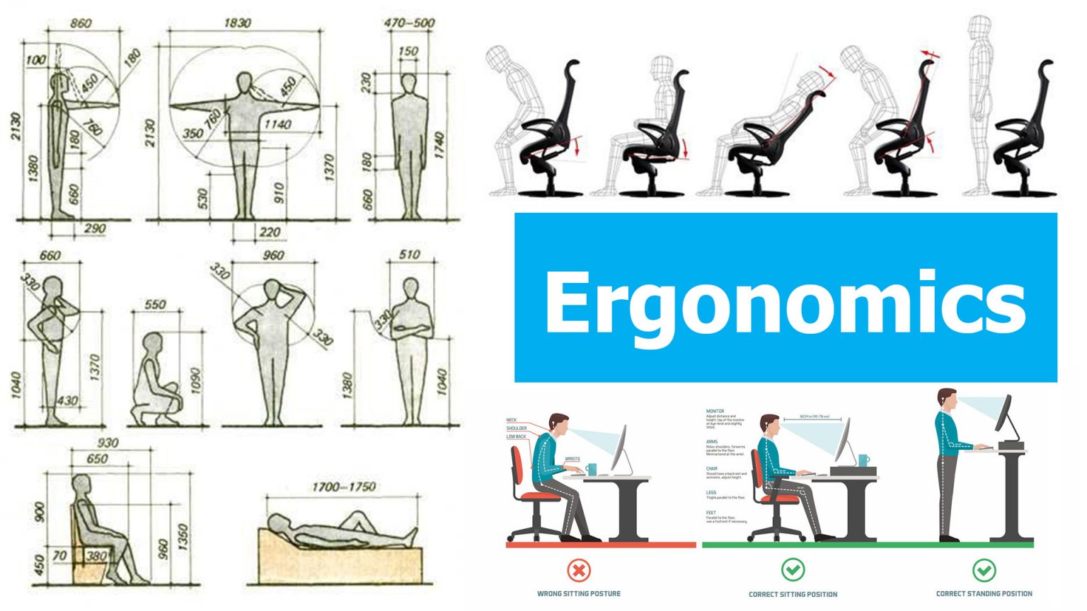 Ergonomics สุขภาพใกล้ตัว ป้องกัน Office Syndrome | อีไลฟ์ สินค้าสุขภาพ ...