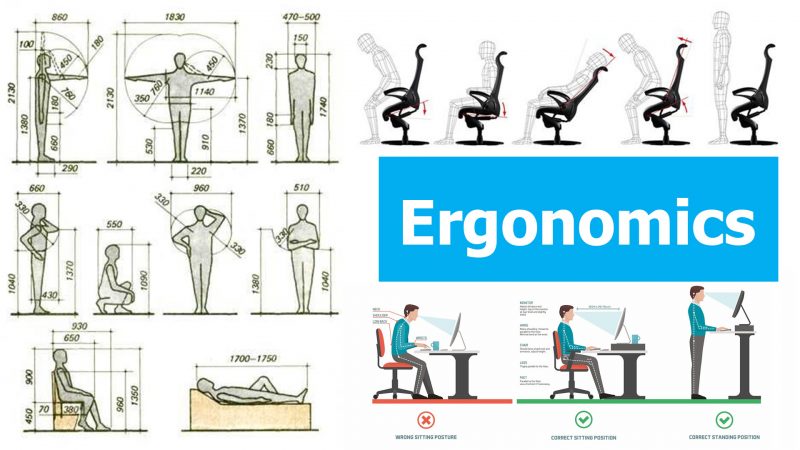 Ergonomics สุขภาพใกล้ตัว ป้องกัน Office Syndrome | อีไลฟ์ สินค้าสุขภาพ ...